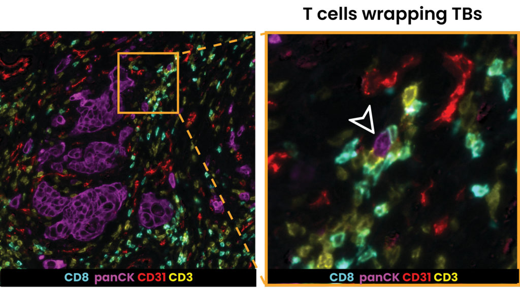Lunaphore announces new data with multiple research collaborators ...