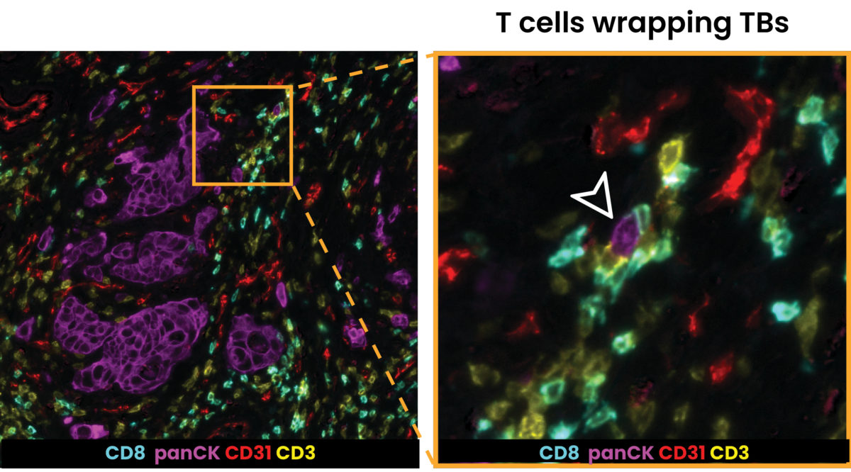 Lunaphore announces new data with multiple research collaborators ...