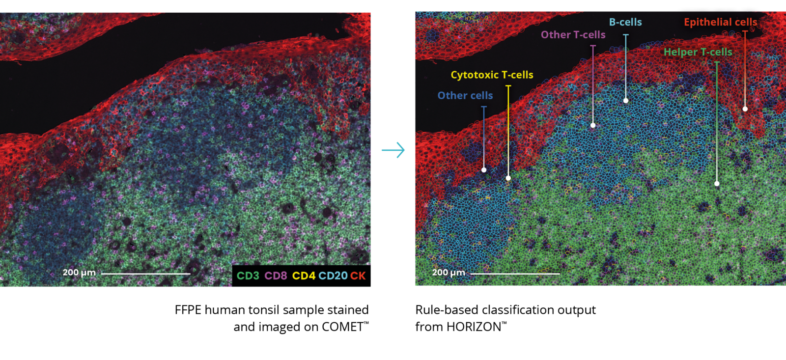 HORIZON™ - Lunaphore Technologies