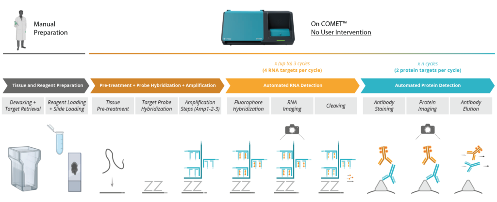 Pioneering RNA and protein detection in the tumor microenvironment (TME ...