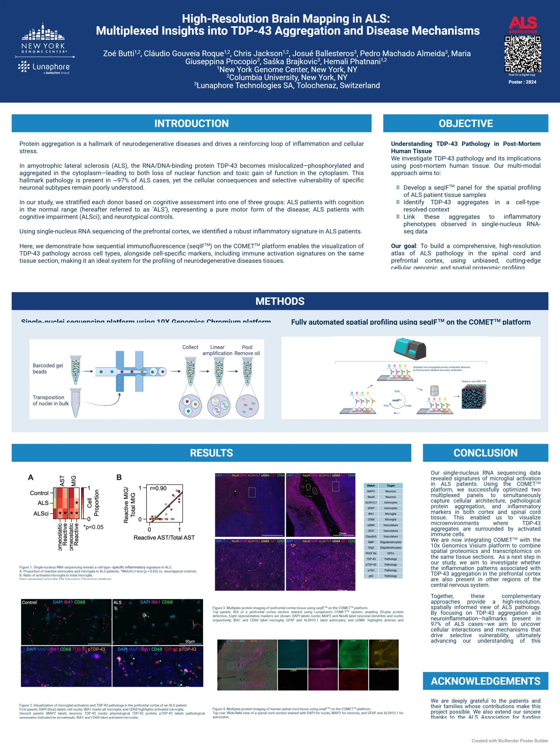High-Resolution Brain Mapping in ALS: Multiplexed Insights into TDP-43 ...