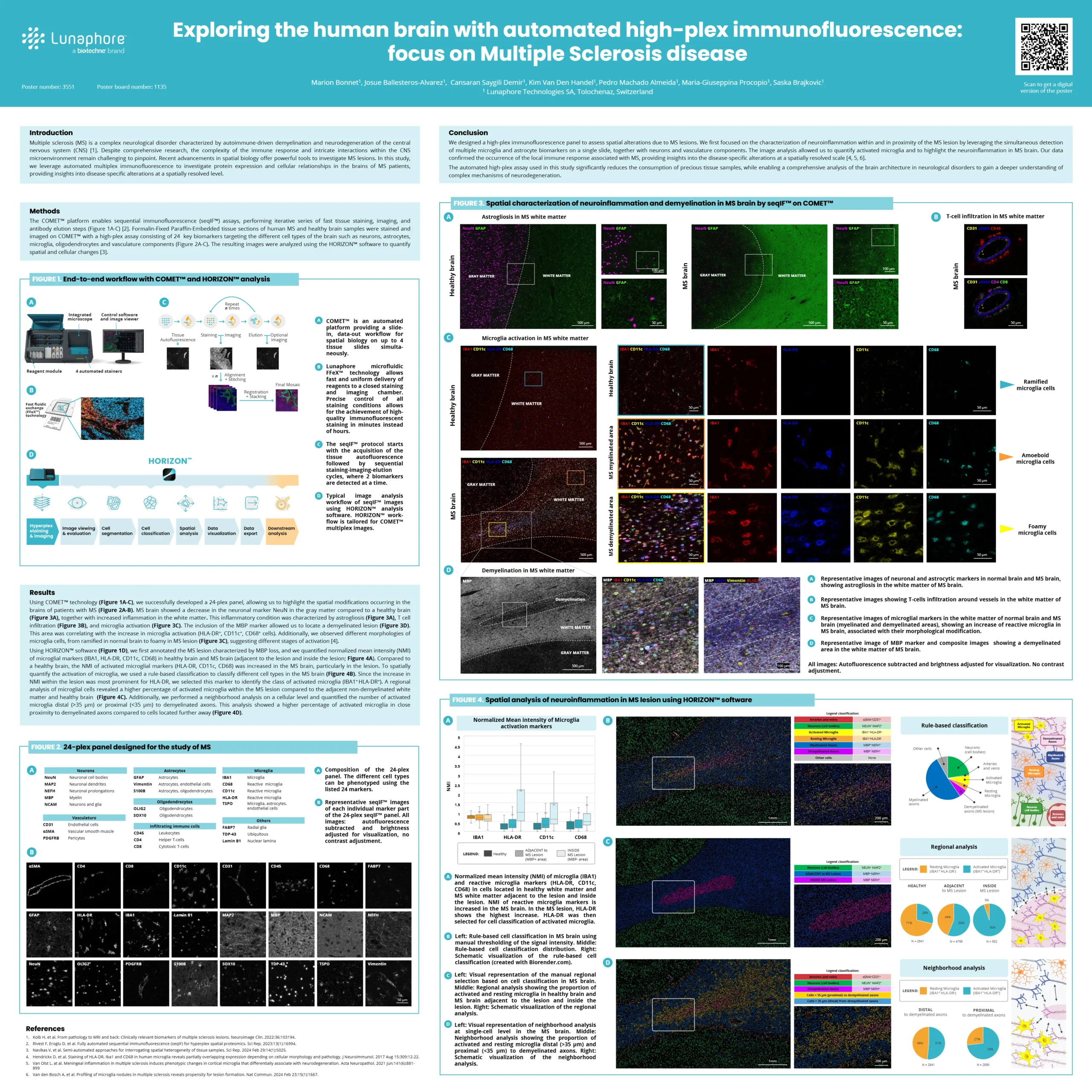 Exploring the human brain with automated high-plex immunofluorescence ...