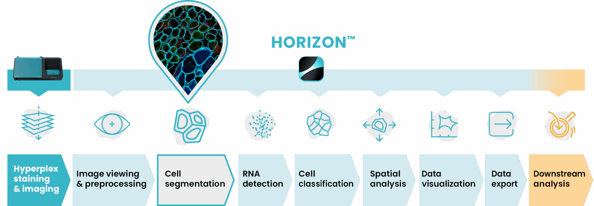 Marker-informed cell segmentation with HORIZON™ - Lunaphore Technologies