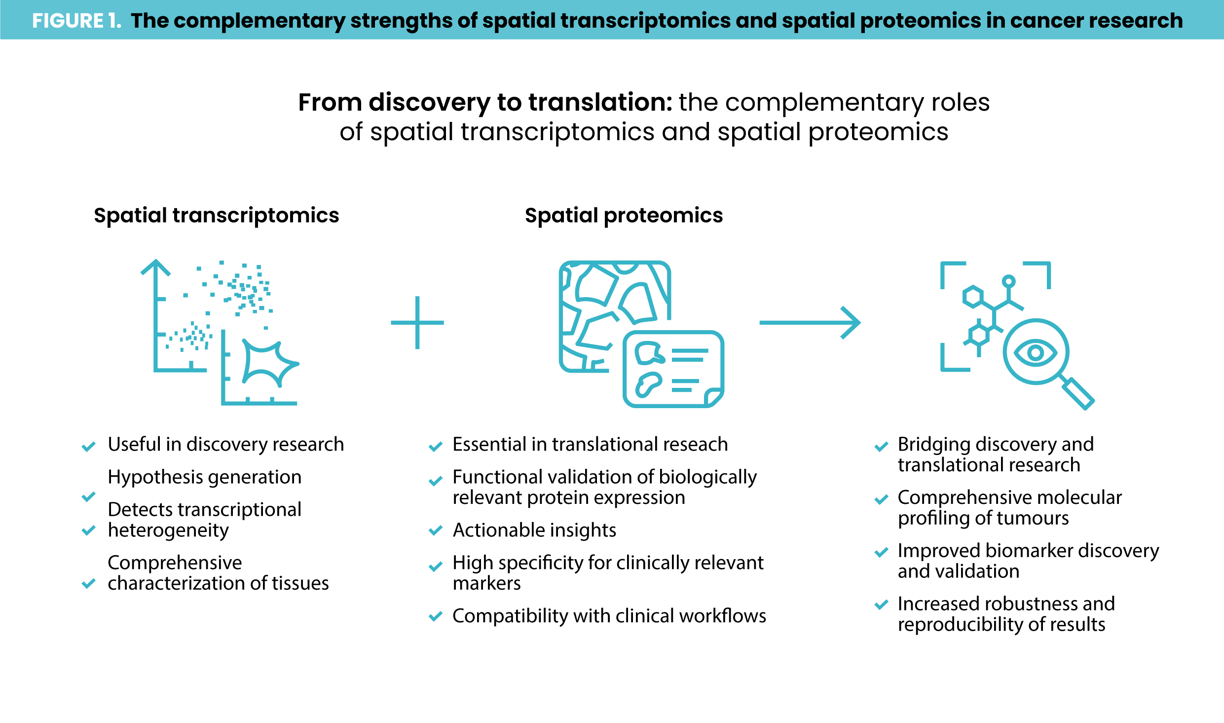 Spatial synergies: how COMET™ is used to validate spatial transcriptomics data - Lunaphore ...